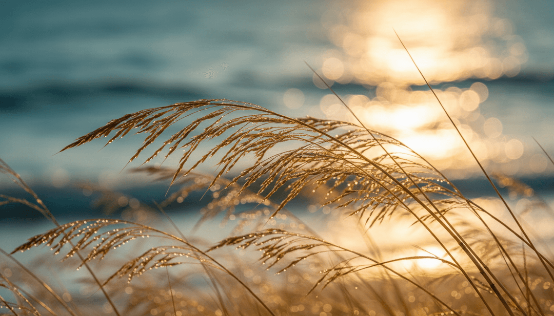 Cheiro de Mato Music Video Generator - AI Video for Gabi Saiury, Kotim ...